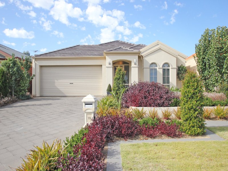 19 Appleberry Cres, Craigburn Farm, SA 5051 - realestate.com.au