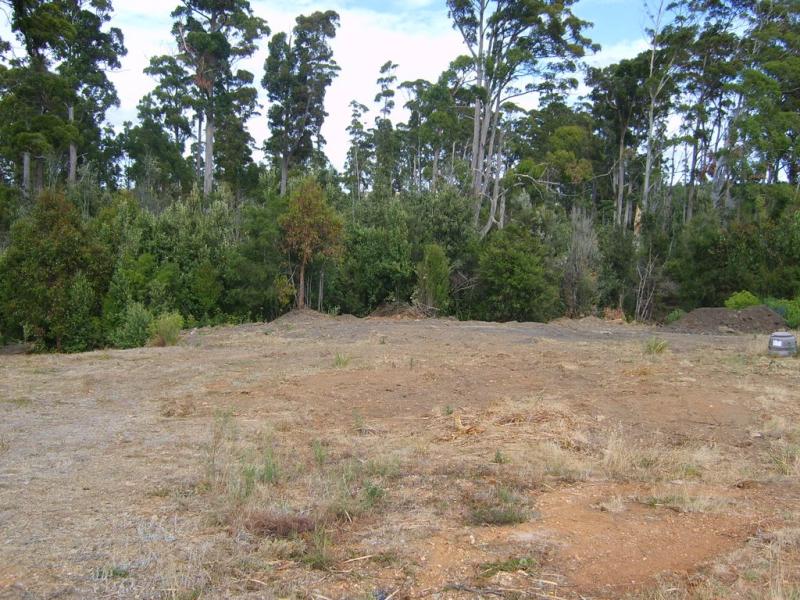 11 Newhaven Drive, Somerset, TAS 7322 - realestate.com.au