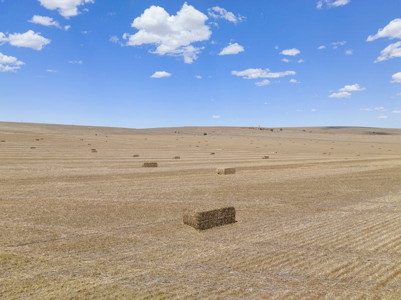 133 Andrews Road, Andrews, SA 5454 - Property Details