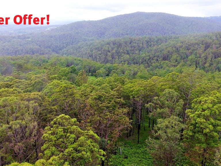 Lot 70 & 71 Tyringham Road,, Dorrigo, NSW 2453 - Property Details