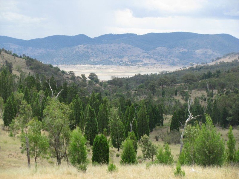 Property 7276800, Cowra, NSW 2794 - Property Details