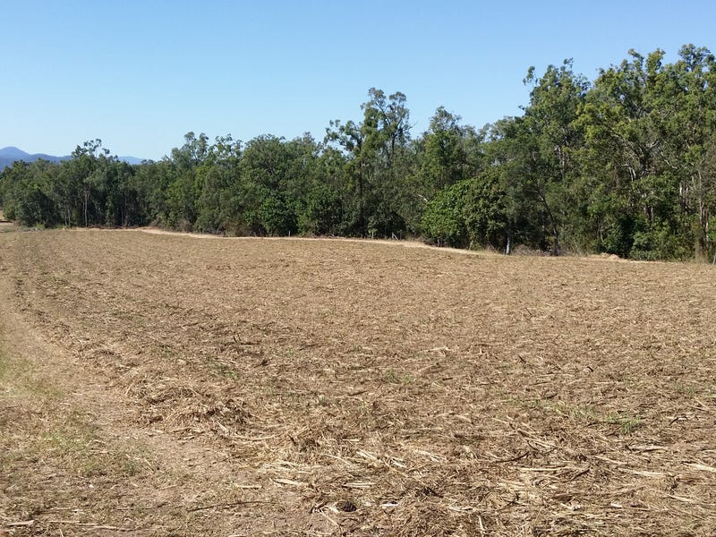 478 Lucas Paddock Road, Pinnacle, Qld 4741 - Property Details