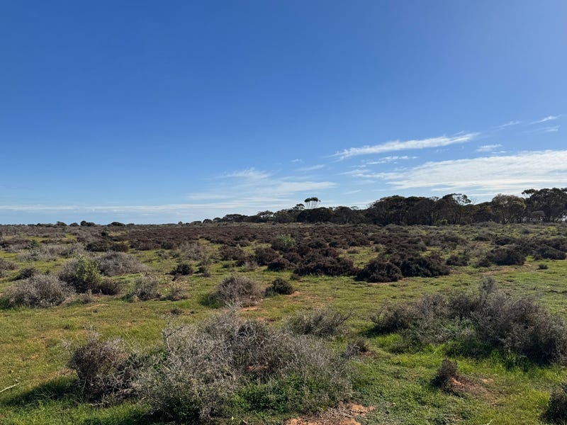 387, North Parham Road, Parham, SA 5501 - Property Details