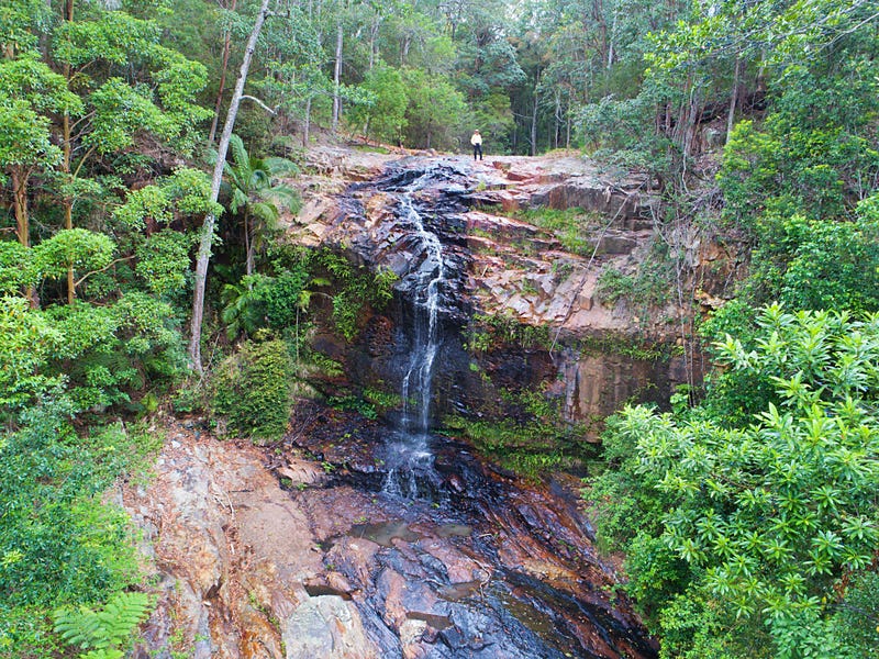 183 Tyalgum Ridge Road, Tyalgum, NSW 2484 - realestate.com.au