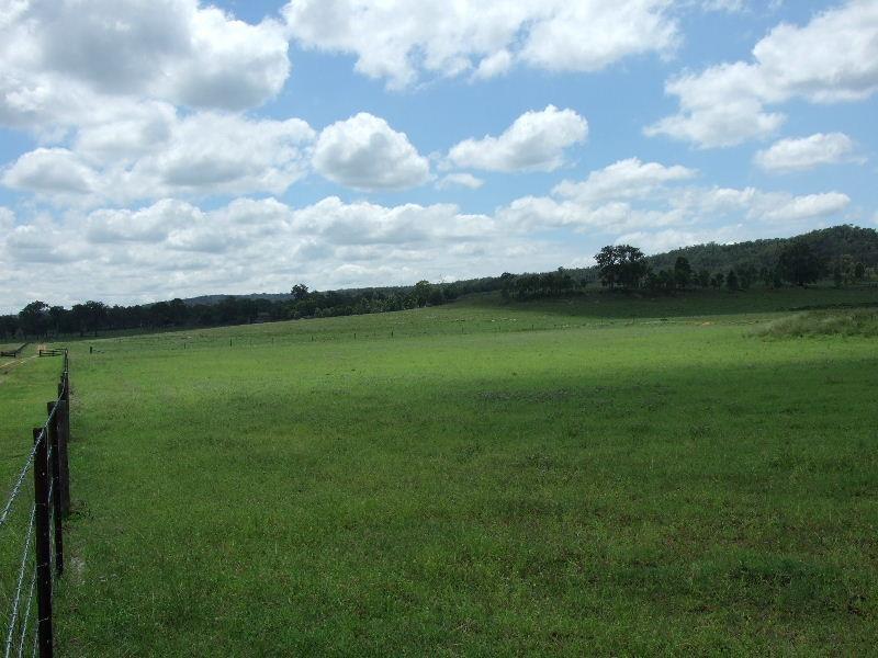 South Gundirbri, Golden Highway, Gungal, NSW 2333 - Property Details