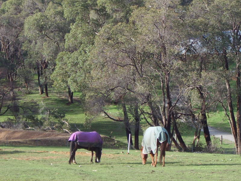 76 JALDARY TRAIL, Bullsbrook, WA 6084 - Property Details