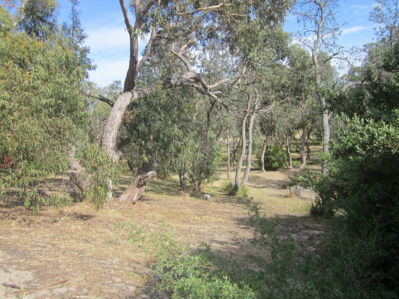 69 Rainbow Road, Golden Beach, VIC 3851 - realestate.com.au