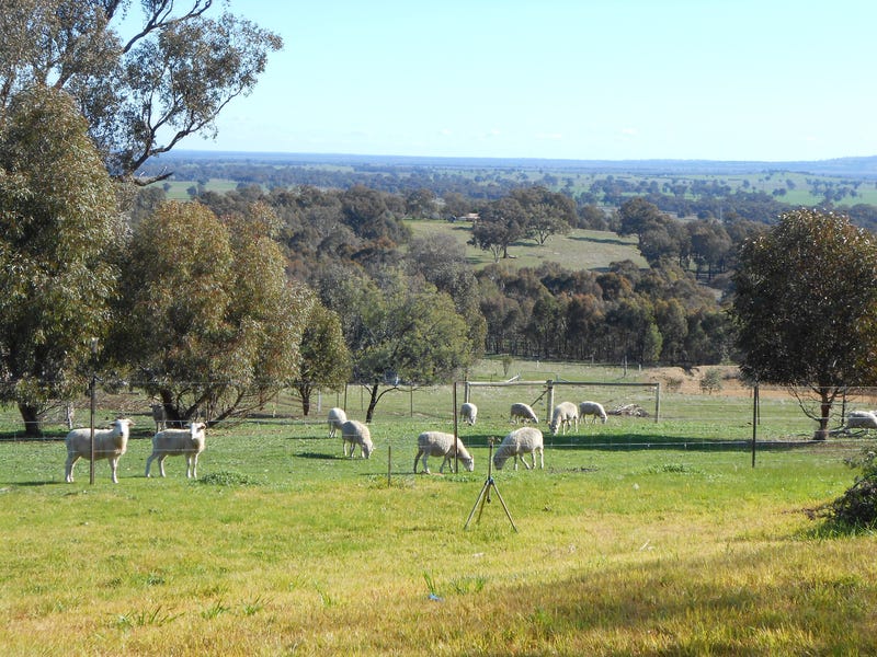 18 Rifle Range Road, Glenrowan, VIC 3675 - realestate.com.au