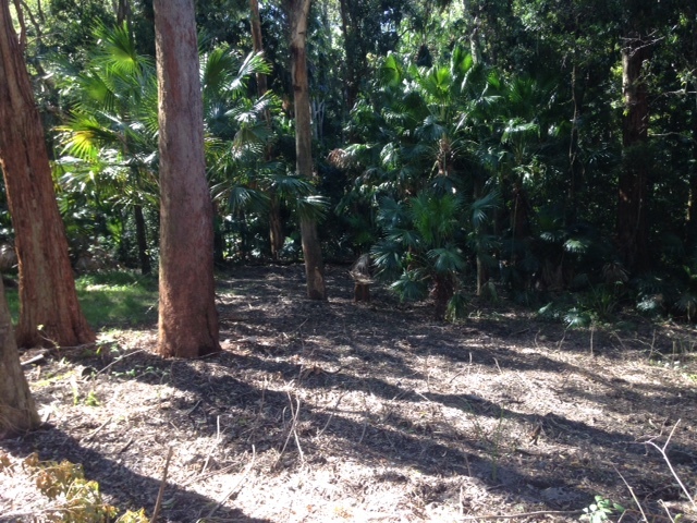 29A Keith Cres, Smiths Lake, NSW 2428 - realestate.com.au