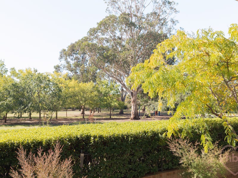 39/43 Ijong Street, Braddon, ACT 2612 - Property Details