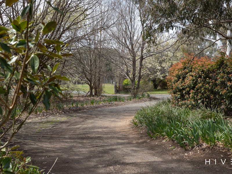 31 David Street, Gundaroo, NSW 2620 - House for Sale - realestate.com.au