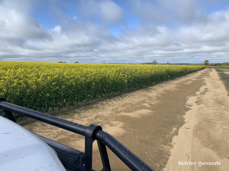 16111 Goldfields Road, Merredin, WA 6415 - Property Details