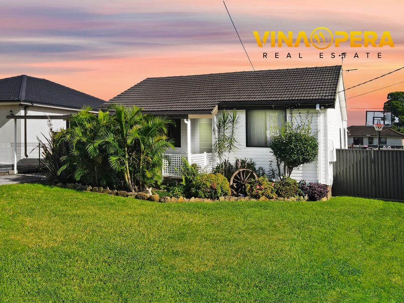 9 Antill Road, Mount Pritchard, NSW 2170 - realestate.com.au