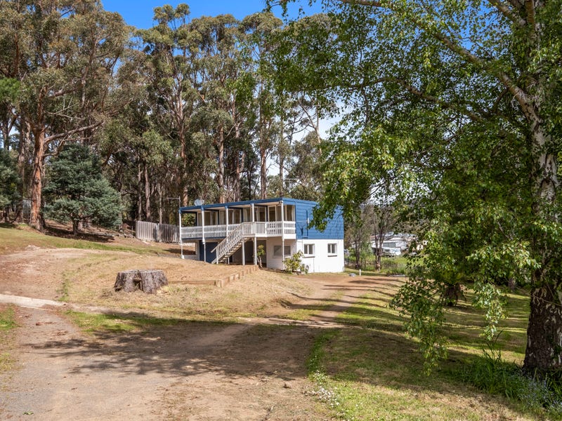 38 Mountain River Road, Grove, Tas 7109 - House for Sale - realestate ...