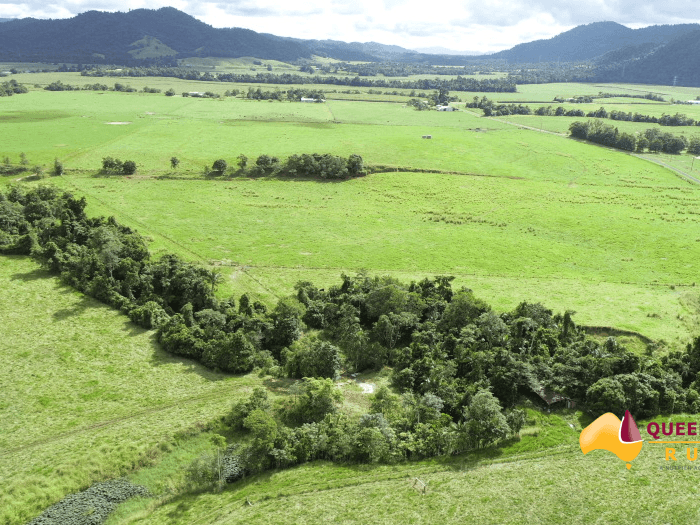 Property 700208739, Silkwood, Qld 4856 - Property Details