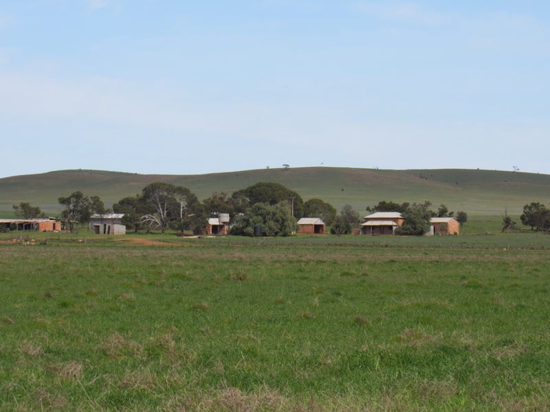 "The Pines" 75 Lang Road, Sunnybrae, SA 5422 - Cropping for Sale ...