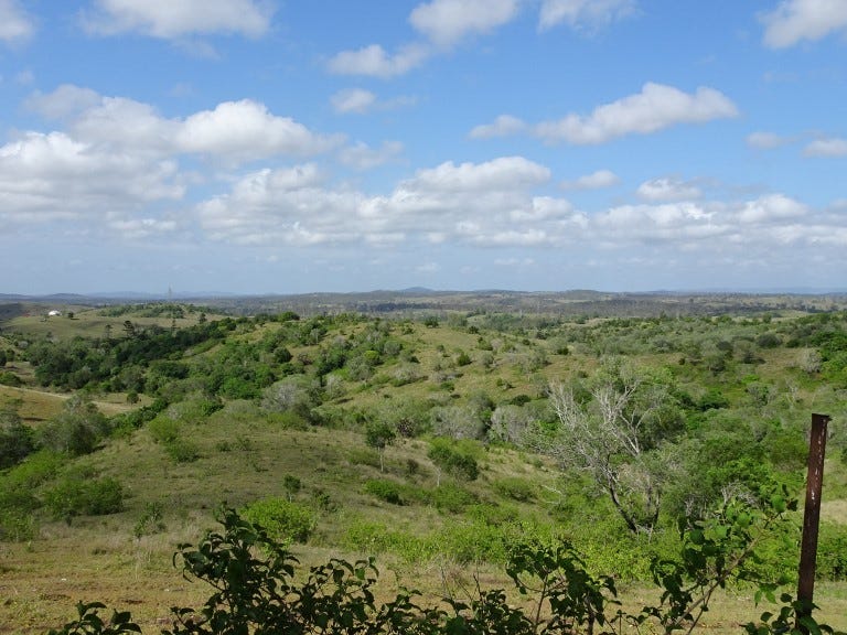 31659 Bruce Highway, Booyal, Qld 4671 - Property Details