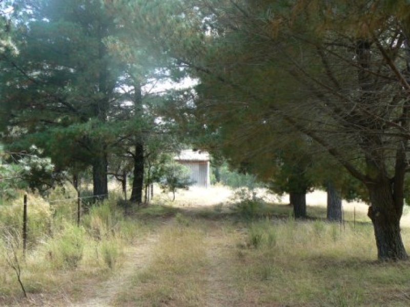 495 Durridgerie Road, Turill, NSW 2850 - Property Details