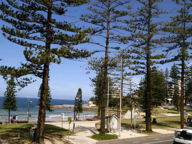 3/20 The Strand, Dee Why, NSW 2099 - realestate.com.au