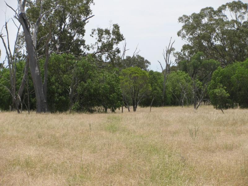 Rewalyn Pilliga-Gwabegar Road, Narrabri, NSW 2390 - Property Details