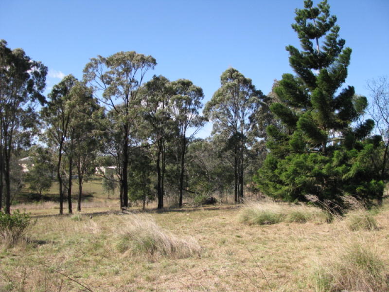 28 Dioth Street, Yarraman, QLD 4614 - realestate.com.au