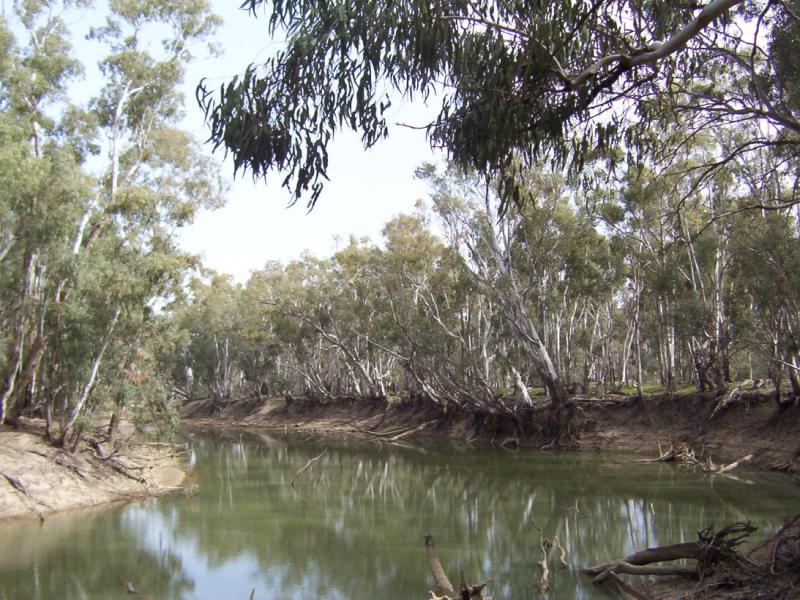 Little Murray River Murrabit Via, Barham, NSW 2732 - Property Details