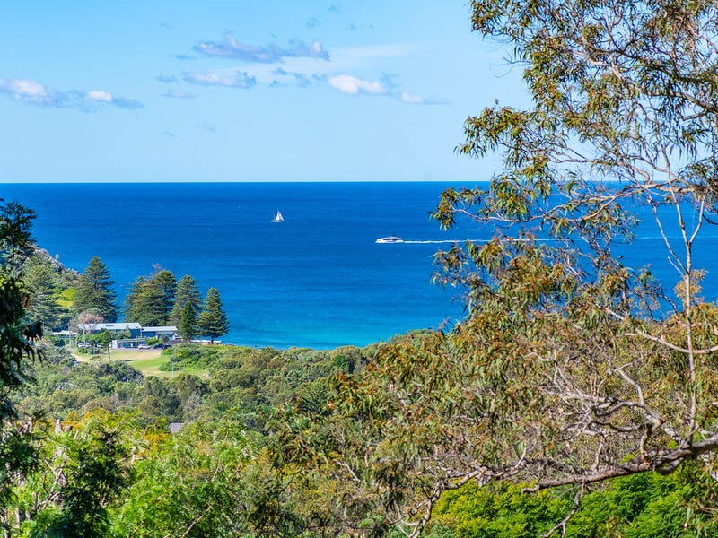 79 Park Avenue, Avalon Beach, NSW 2107 - realestate.com.au