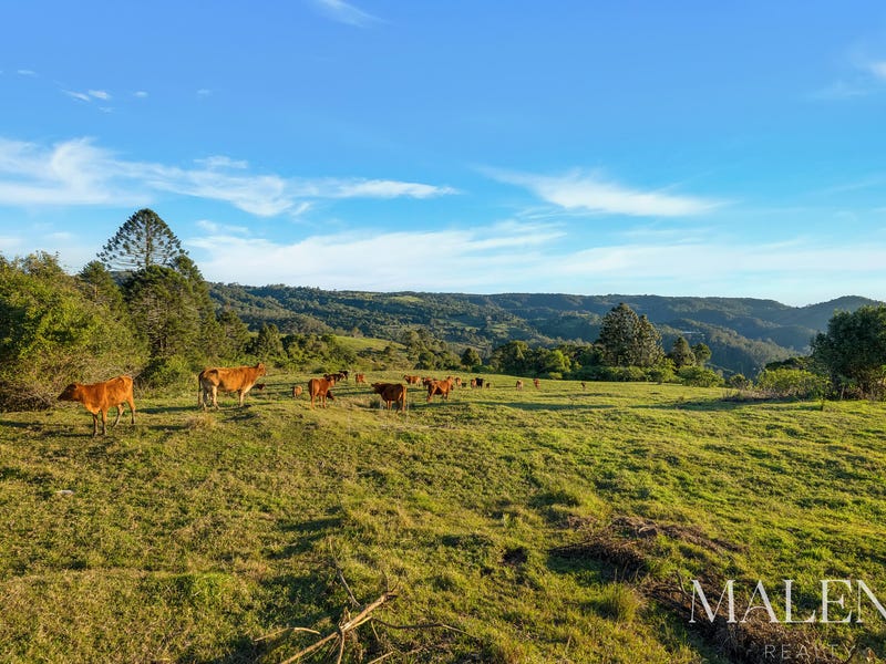 Real Estate & Property for Sale in Mapleton, QLD 4560 (+1 location) Pg ...