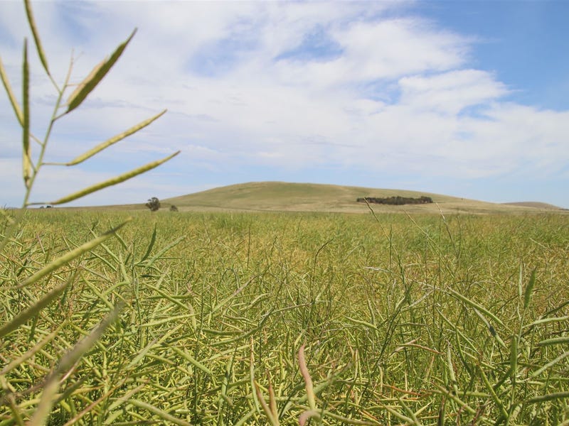 150 McHughs Road, Ullina, Vic 3370 - Property Details