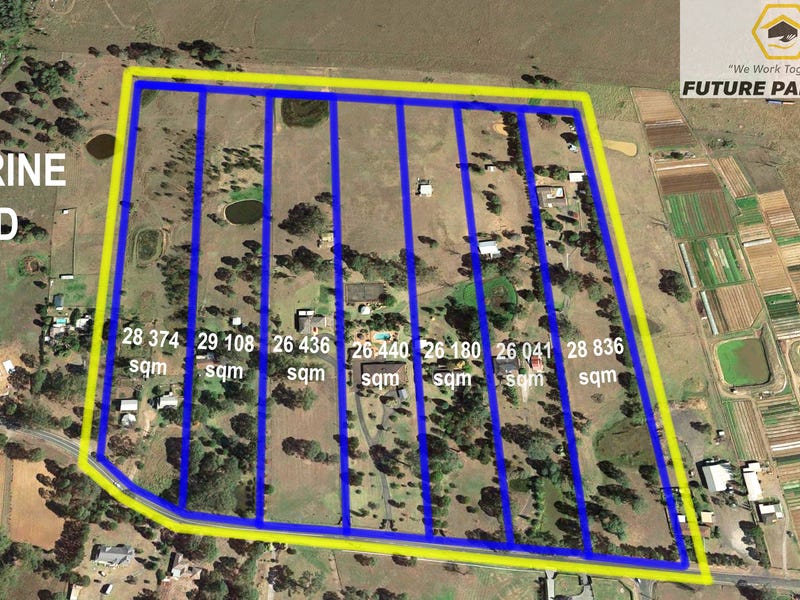 45 Springfield Road, Catherine Field, NSW 2557 - realestate.com.au