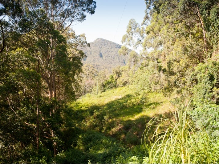 2234 Comboyne Road, Killabakh, NSW 2429 - Property Details