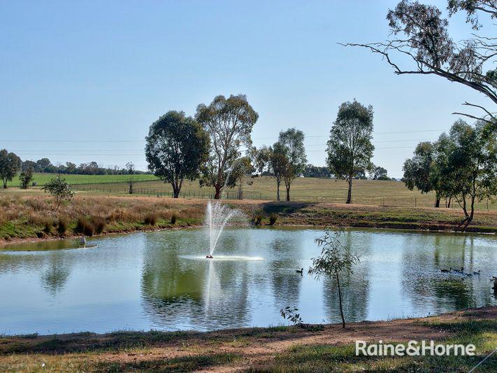 "Wonga Lea" 639 Morongla Road, Cowra, NSW 2794 - Property Details