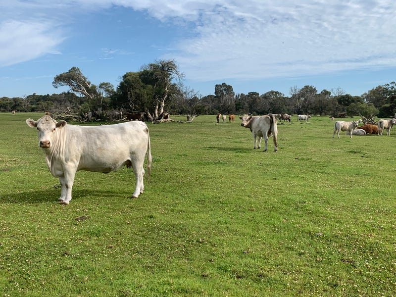 414 Rodgers Road, Uduc, WA 6220 - Property Details