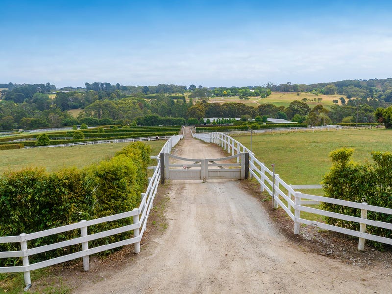 100 Roberts Road, Main Ridge, VIC 3928 - realestate.com.au