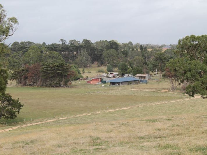 220 Moe-walhalla Road, Tanjil South, VIC 3825 - realestate.com.au
