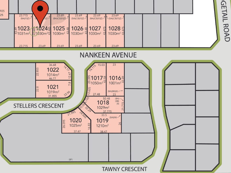 20 Nankeen Avenue, Moore Creek, NSW 2340 - realestate.com.au