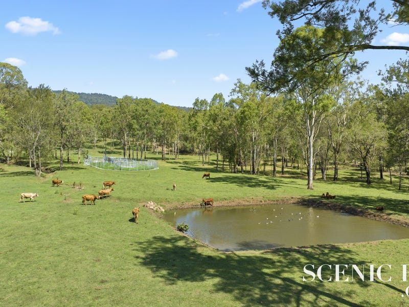 498 Mundoolun Connection Road, Boyland, QLD 4275 - realestate.com.au