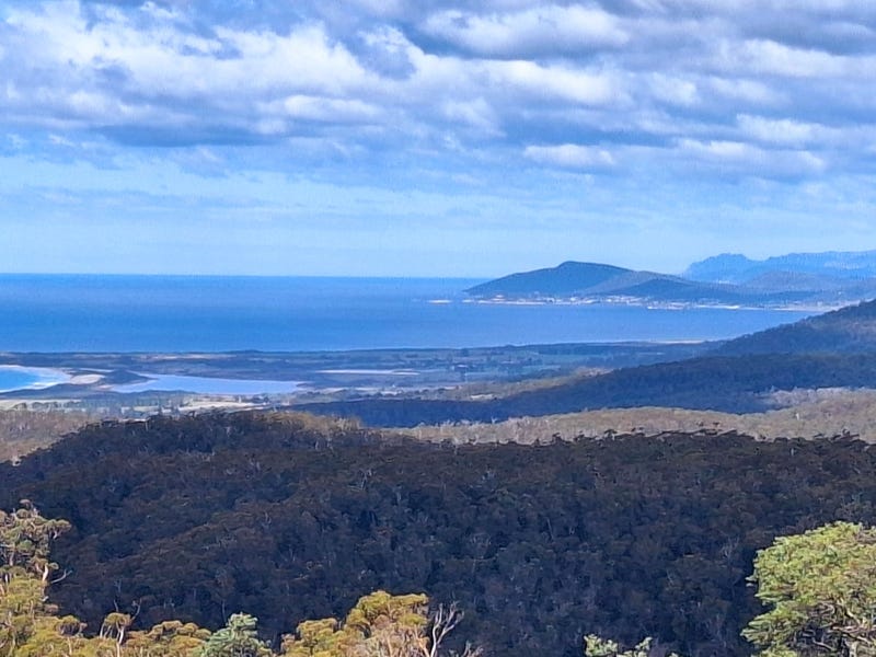 34 Mount Elephant Road, Gray, Tas 7215 - Property Details