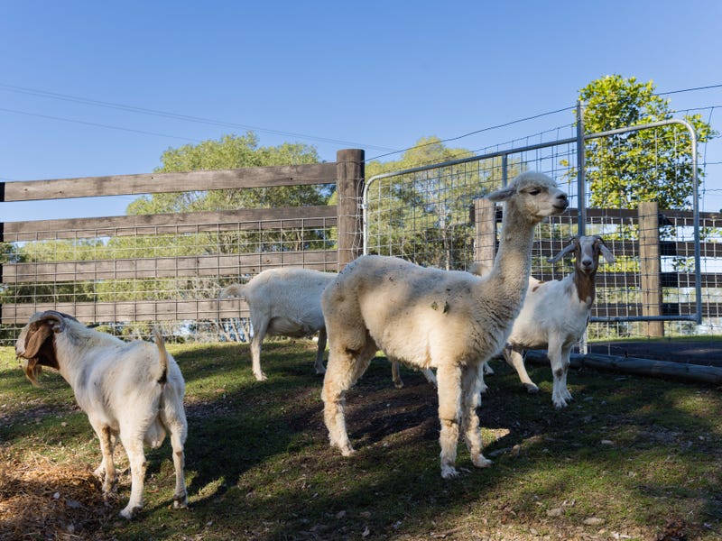 Real Estate & Property for Sale in Samford Valley, QLD 4520 (+1 ...