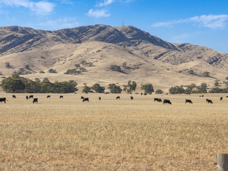 Rural properties for Sale in SA - realestate.com.au