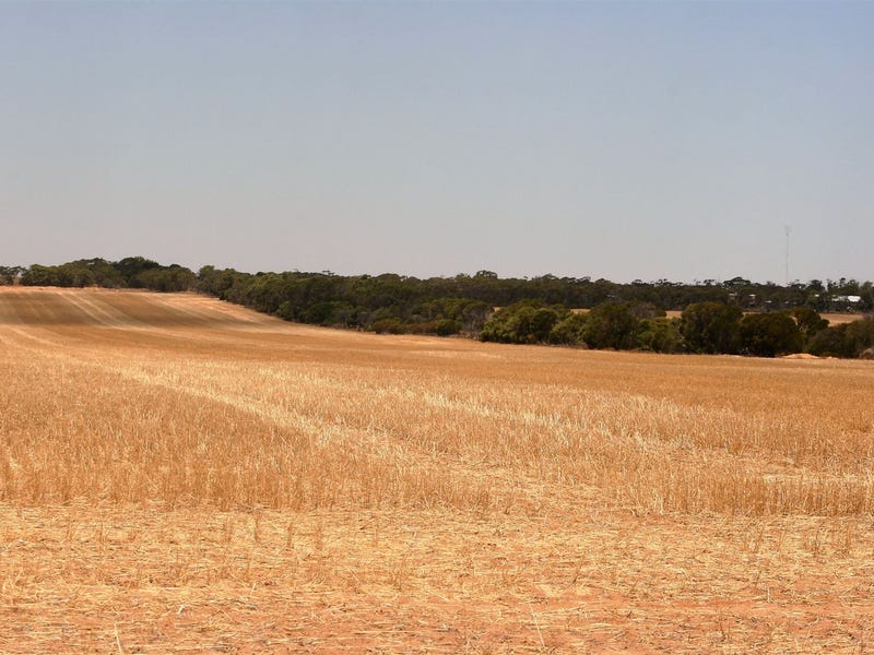 Property 700187299, Koorda, WA 6475 - Property Details