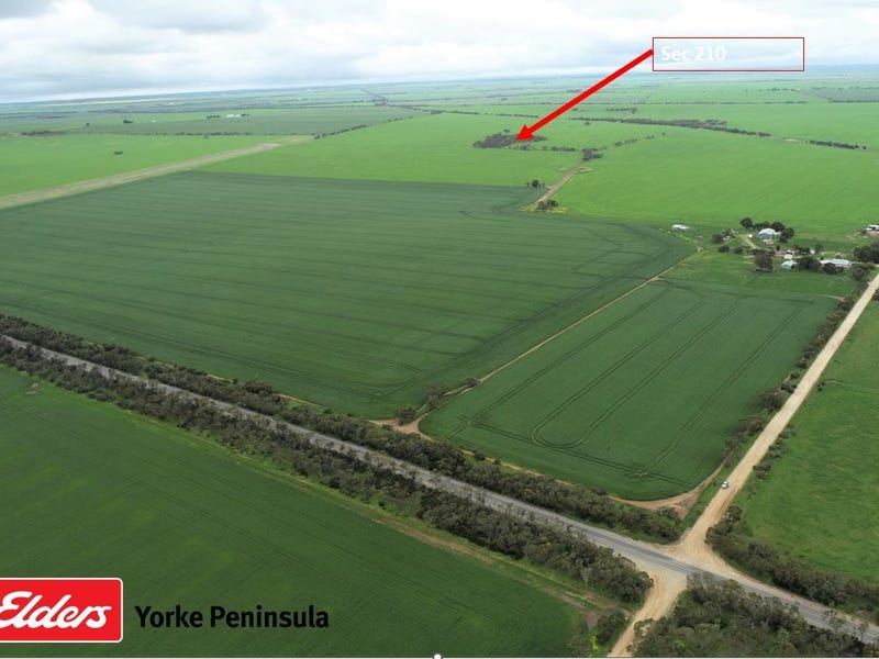 Sec 210 Pine Point Road, Maitland, SA 5573 - Property Details