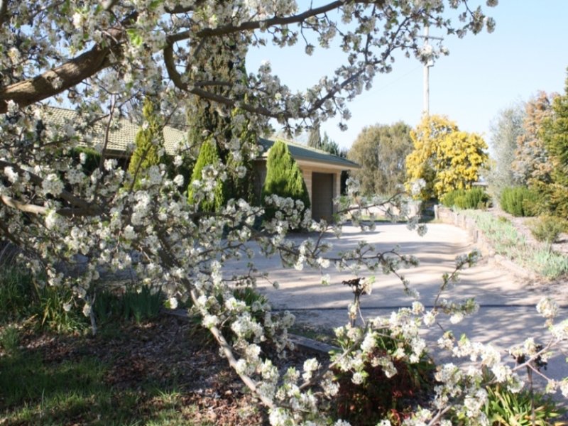 2 Rayburn Drive, Kelso, NSW 2795 - realestate.com.au