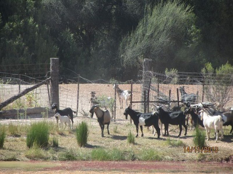 * East Cubba, Cobar, NSW 2835 - Property Details