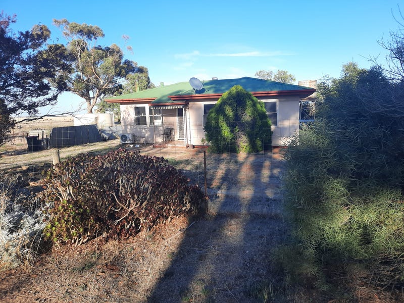 114 Government Silos Road, Hallett, SA 5419 - Property Details