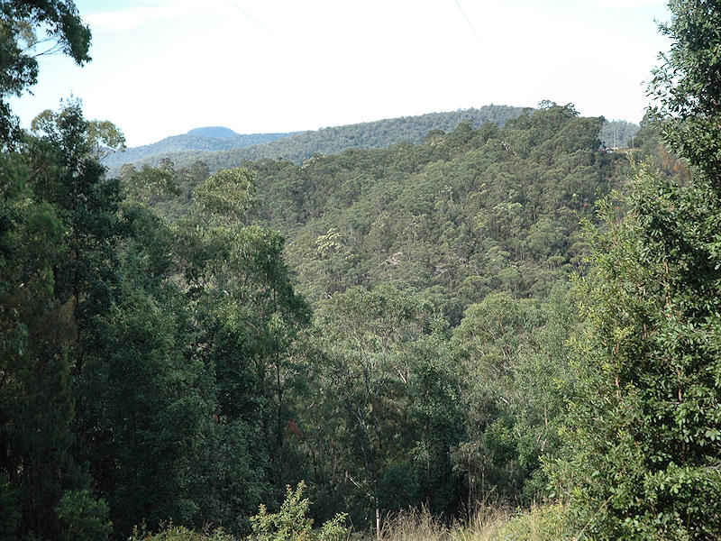 Property 7245179, Bucketty, NSW 2250 - Property Details