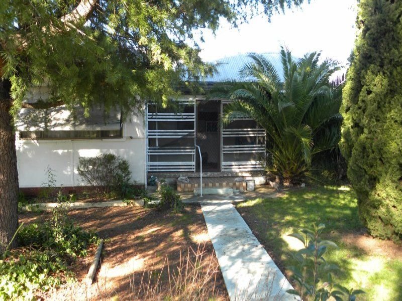 50 Murringo Street, Young, NSW 2594 - Property Details