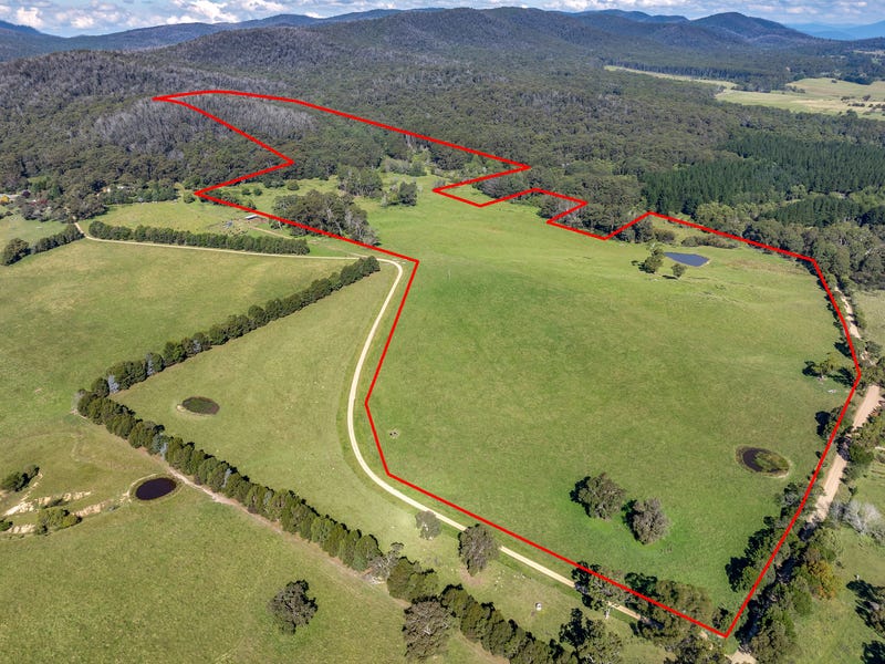 65 Sawyers Ridge Road, Reidsdale, NSW 2622 - Property Details