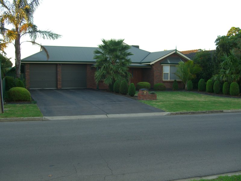 17 Hamilton Terrace, Paradise, SA 5075 - realestate.com.au