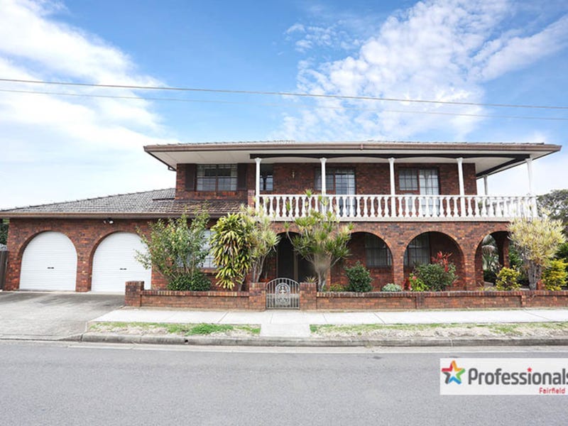 161A Canley Vale Road, Canley Heights, NSW 2166 - realestate.com.au